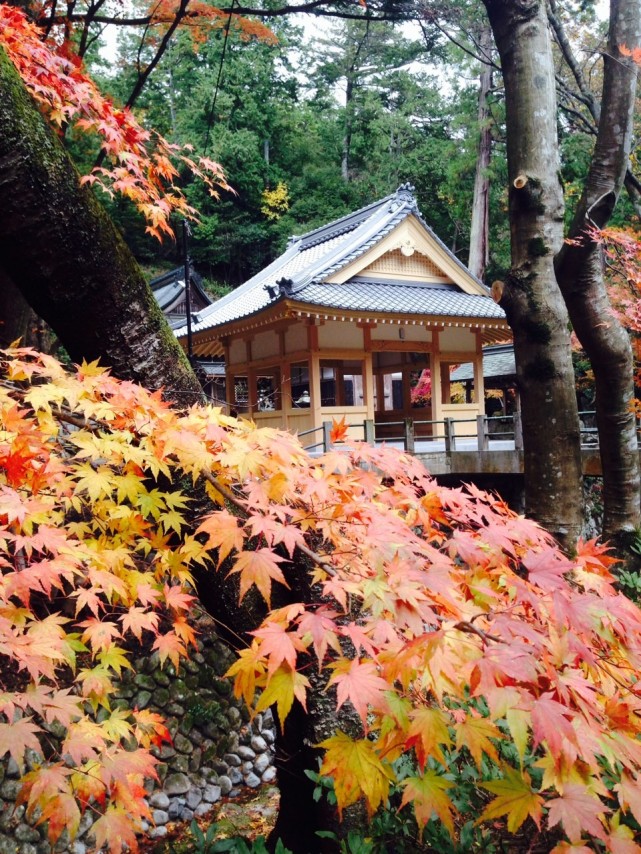 【森合工務店様】～百済寺 拝殿～ | 丸松木材